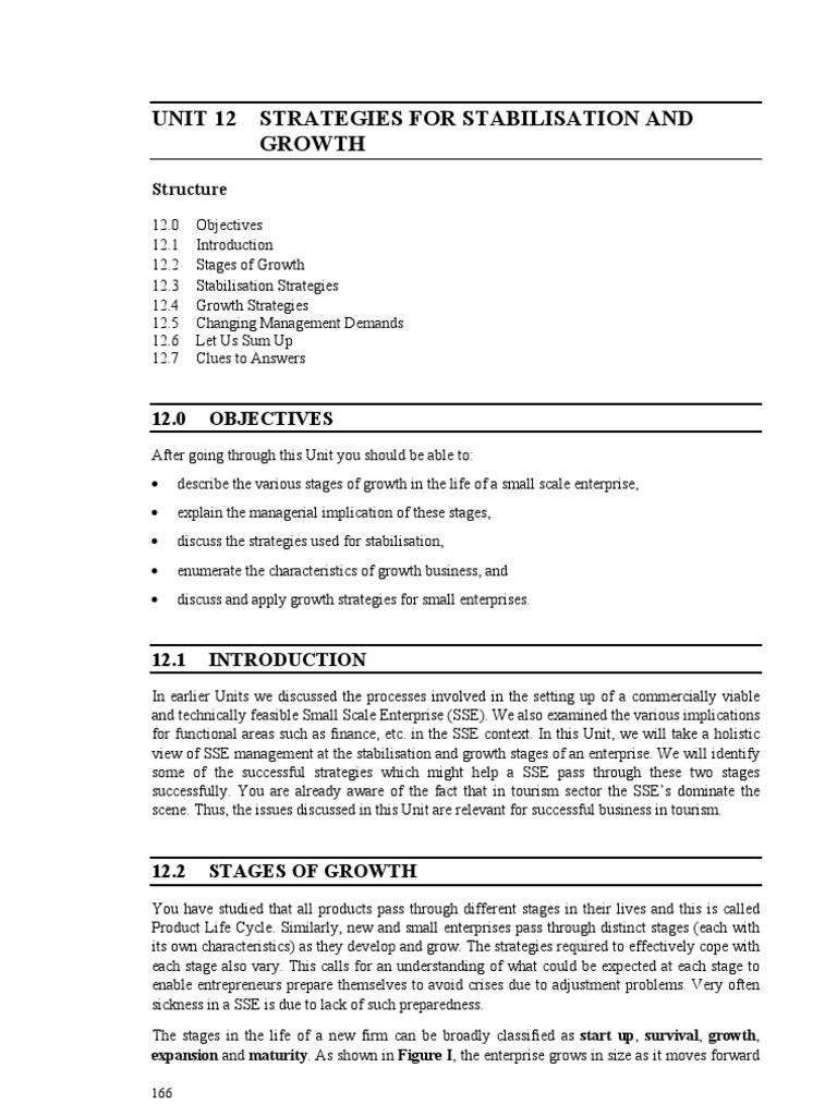 Stabilization and Growth Strategies for SSEs | PDF | Strategic ...
