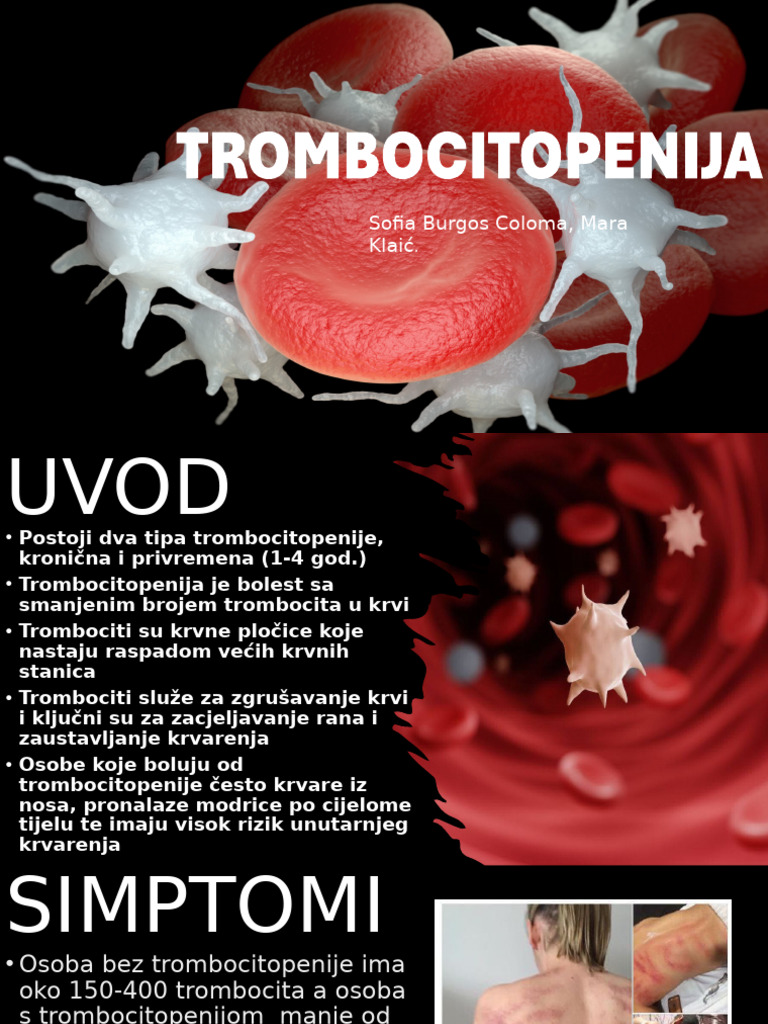 Presentation 1 | PDF