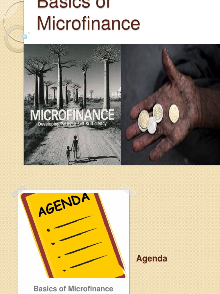 Microfinance Fundamentals and Practices | PDF | Microfinance | Microcredit