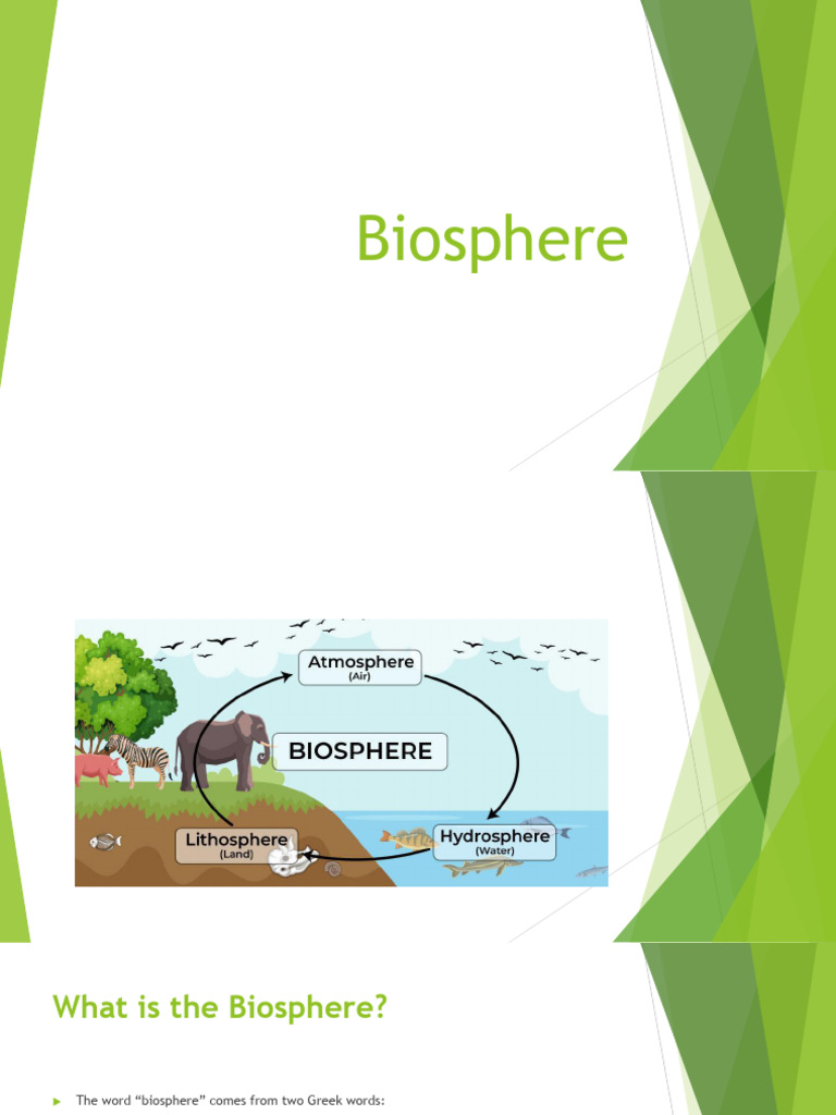 Understanding the Biosphere | PDF | Earth Sciences | Soil