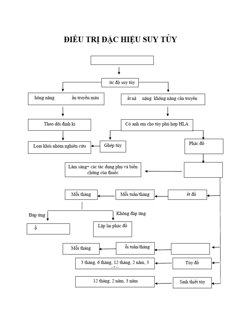 Huh - Phac Do Suy T y Bs Mai | PDF