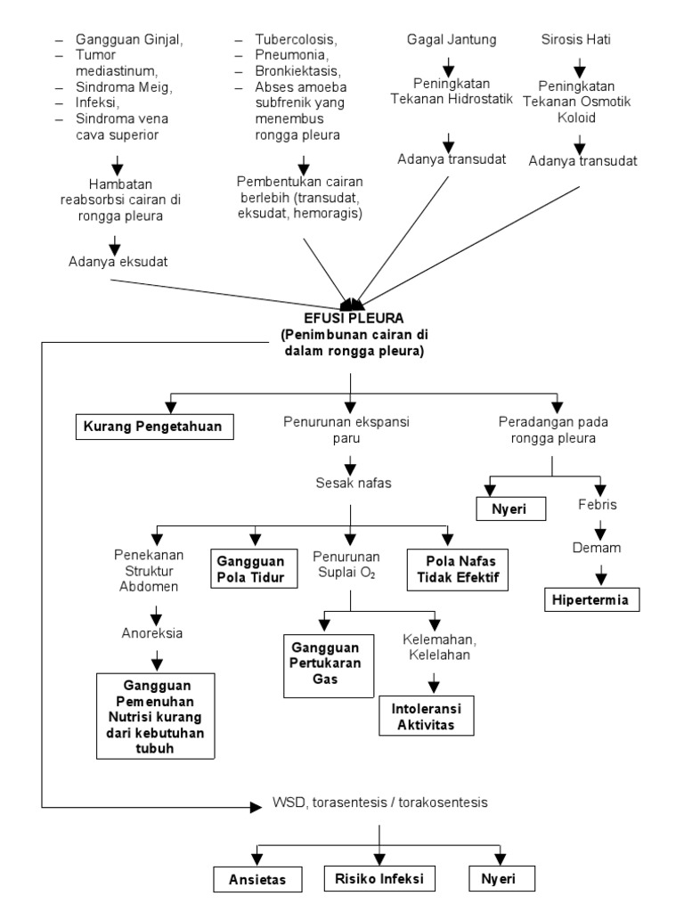 8 - Pathway Efusi Pleura | PDF
