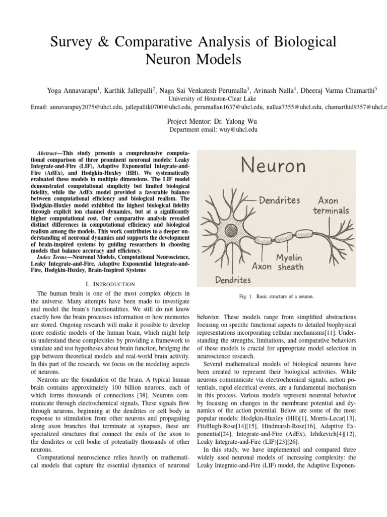 Capstone Research Project - Biological - Neuron - Models | PDF | Action Potential | Neuron