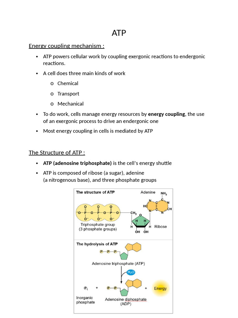 ATP Dec B-test Notes | PDF
