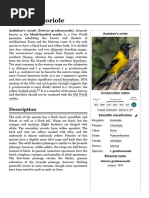 Hudhud: The Hoopoe Bird Explained | PDF | Birds | Ornithology