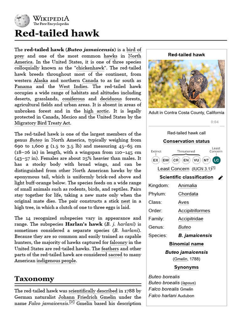 Red-tailed Hawk - Wikipedia | PDF | Falconry | Hawk