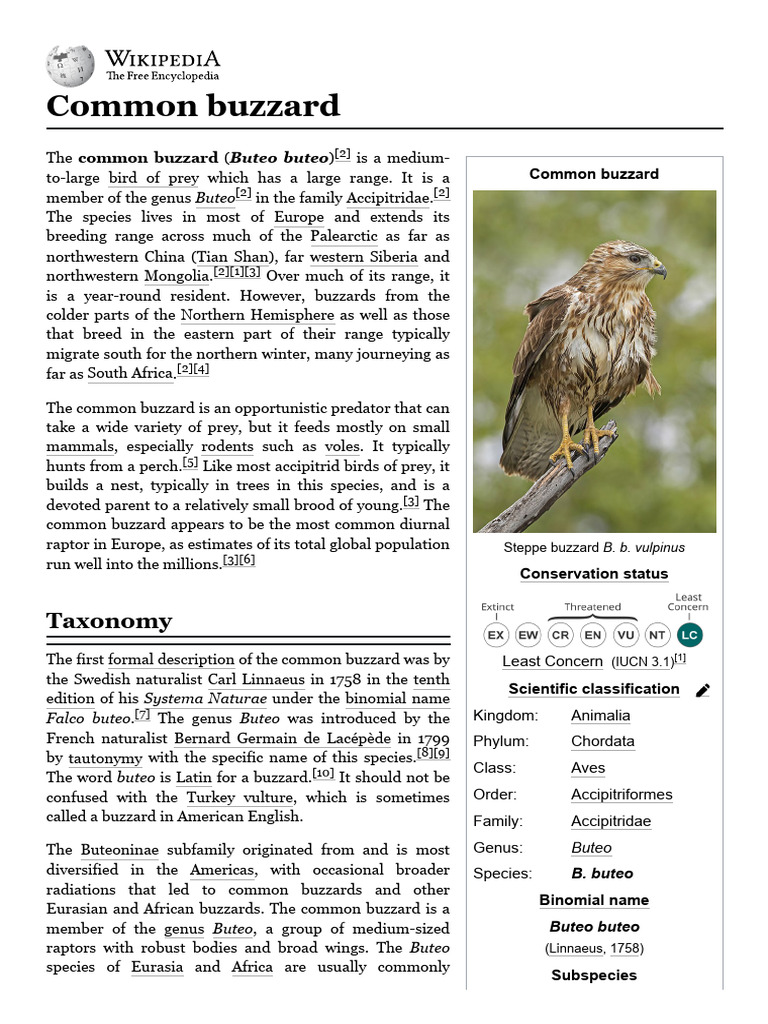 Common Buzzard - Wikipedia | PDF | Bird Migration | Birds Of Prey
