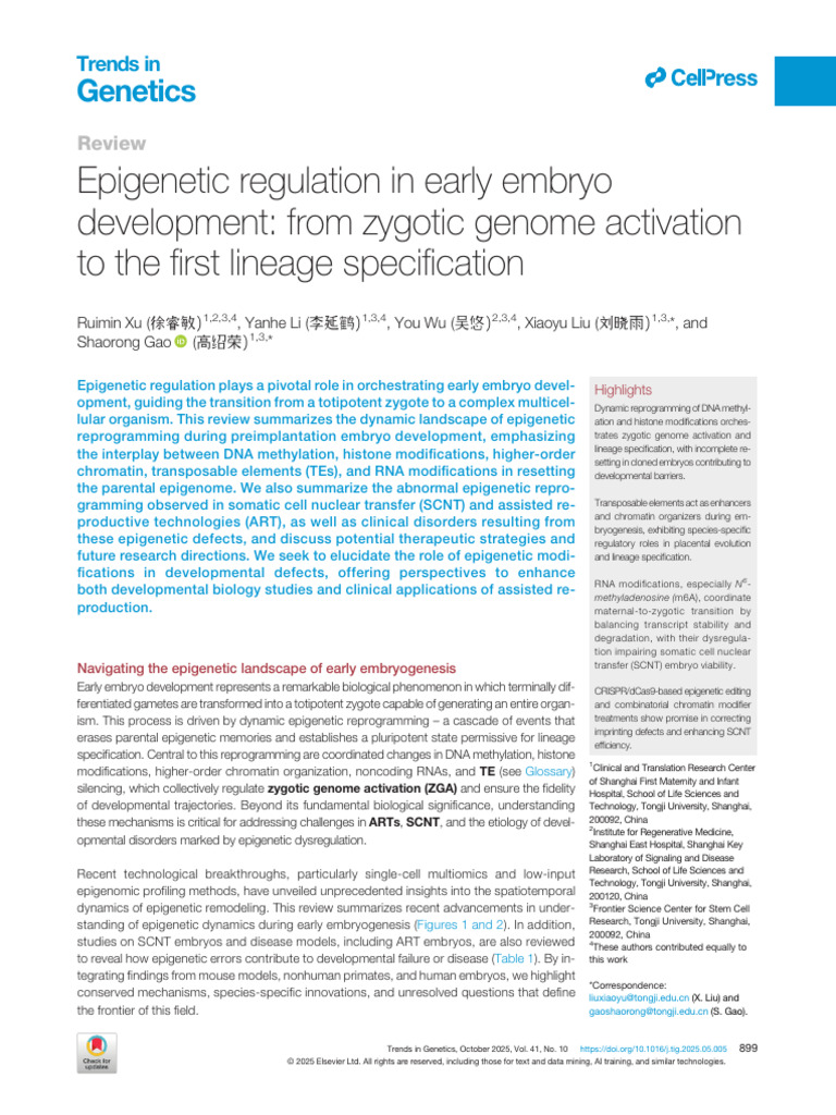 Epigenetic Regulation in Early Embryo Development | PDF | Epigenetics ...
