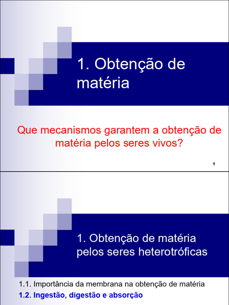 Mecanismos de Nutrição em Seres Heterotróficos | PDF | Digestão | Trato ...