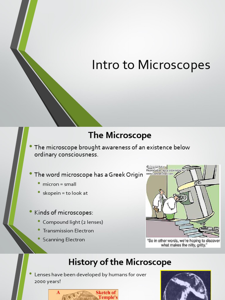 03.0 Intro To Microscopes | PDF | Microscope | Field Of View