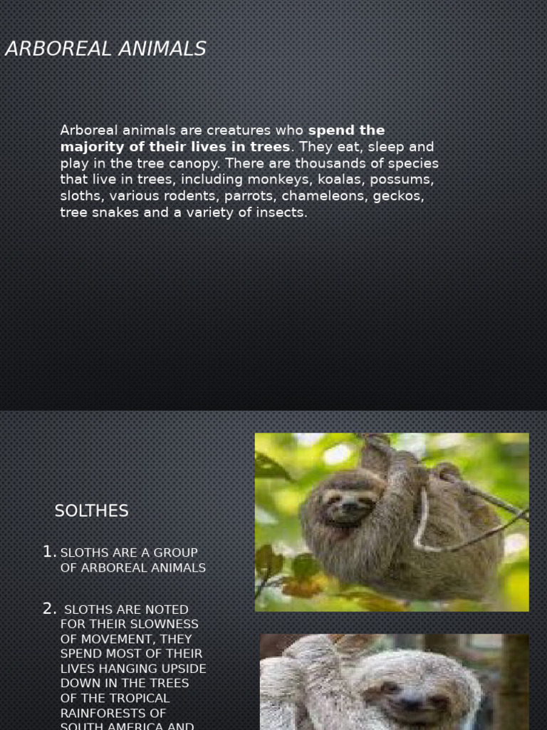 Arboreal Animals | PDF