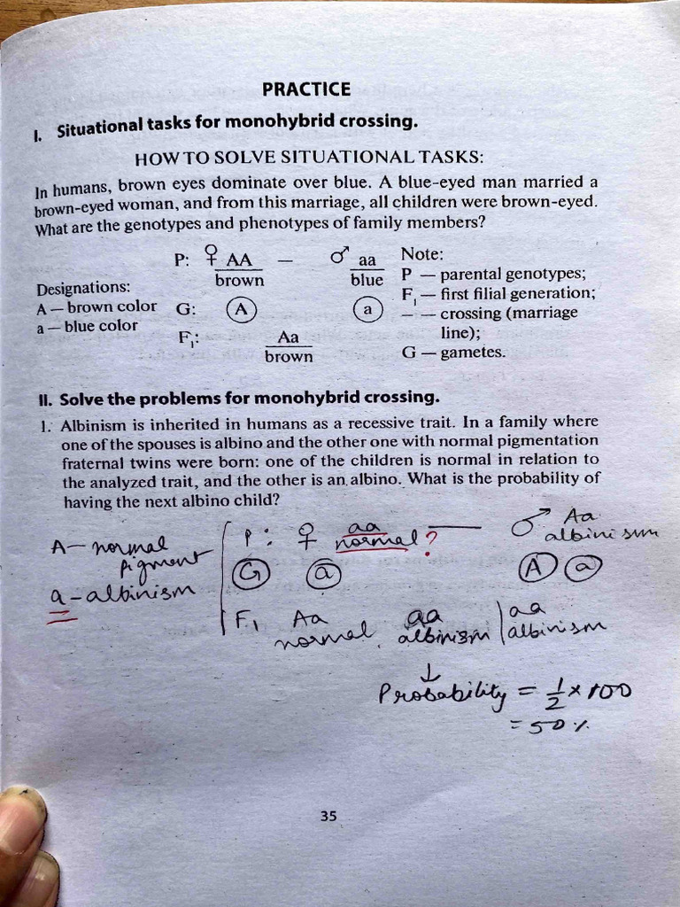 Genetics Workbook 1 | PDF