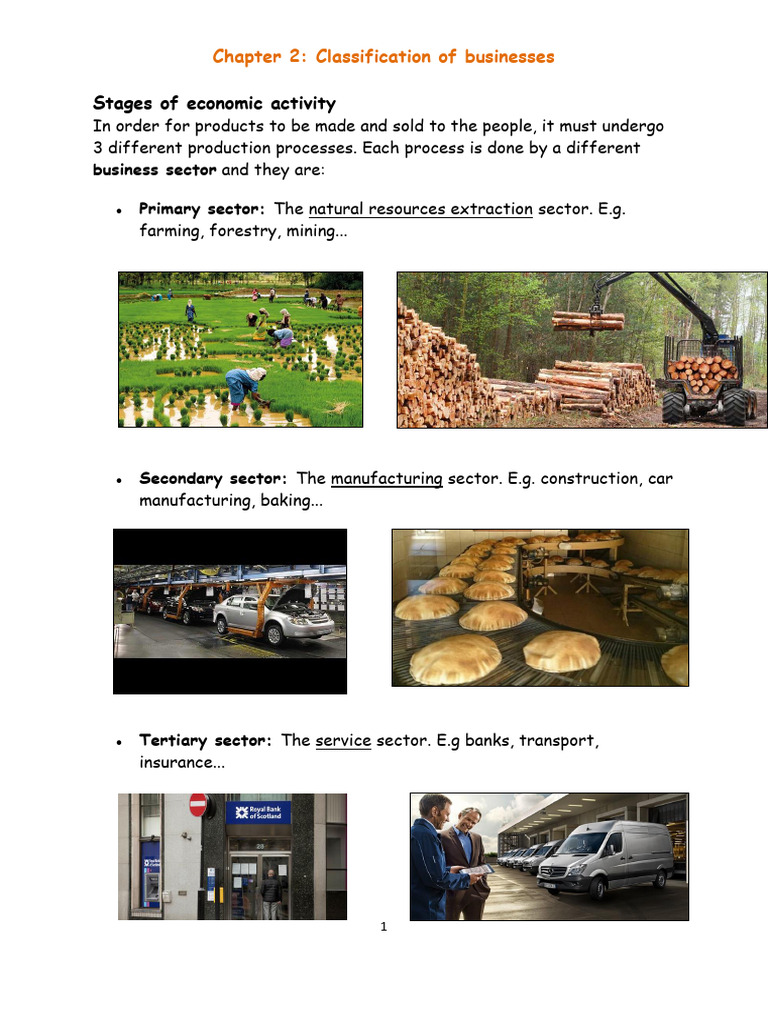 Business Sector Classification Explained | PDF | Tertiary Sector Of The ...