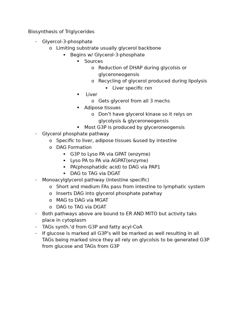 Triglyceride Biosynthesis Pathways | PDF