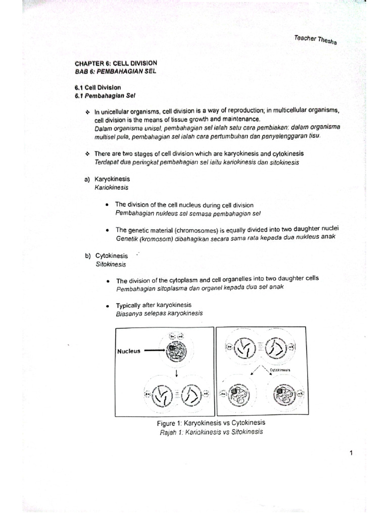 Bio C6 P1 (F4) | PDF