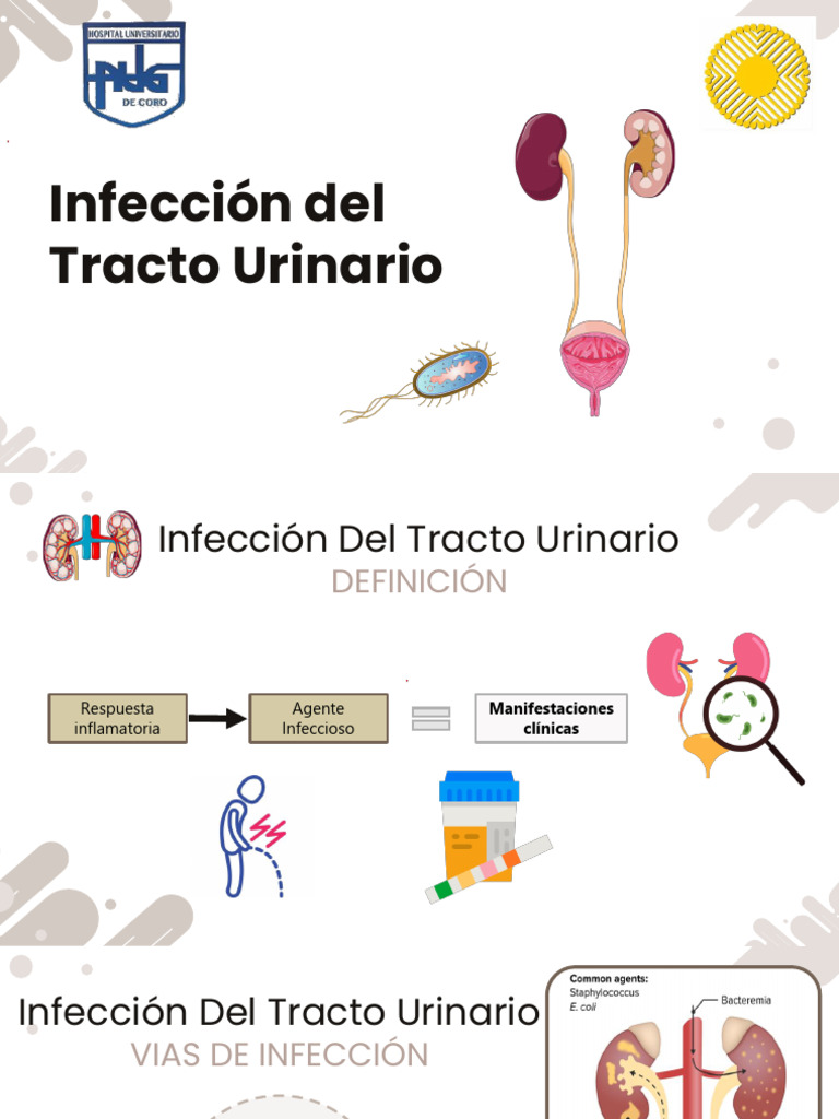 Guía Completa sobre Infección del Tracto Urinario | PDF | Infección del ...