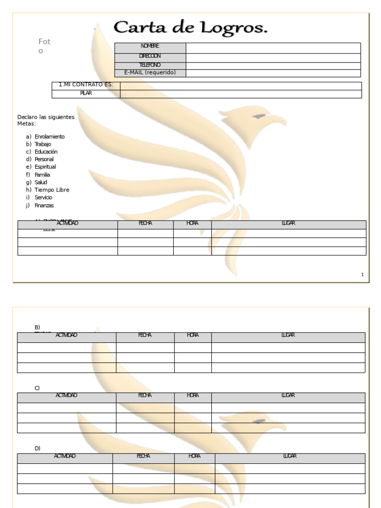 Carta de Logros | PDF