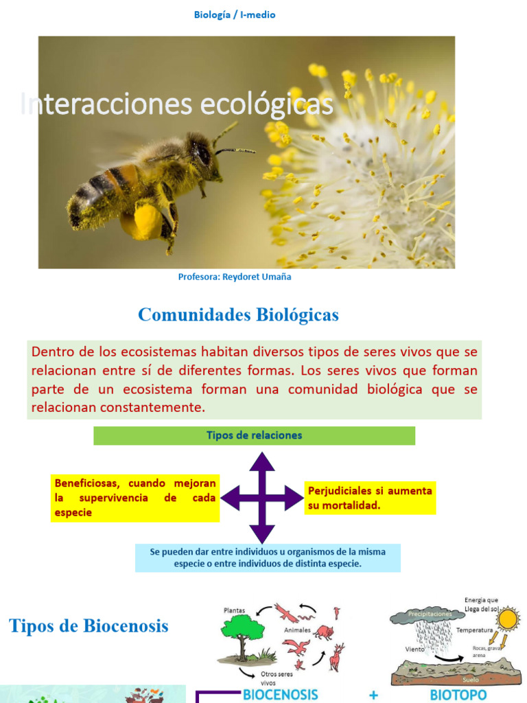Interacciones Ecológicas (Parte I) | PDF | Ecología | Ecosistema