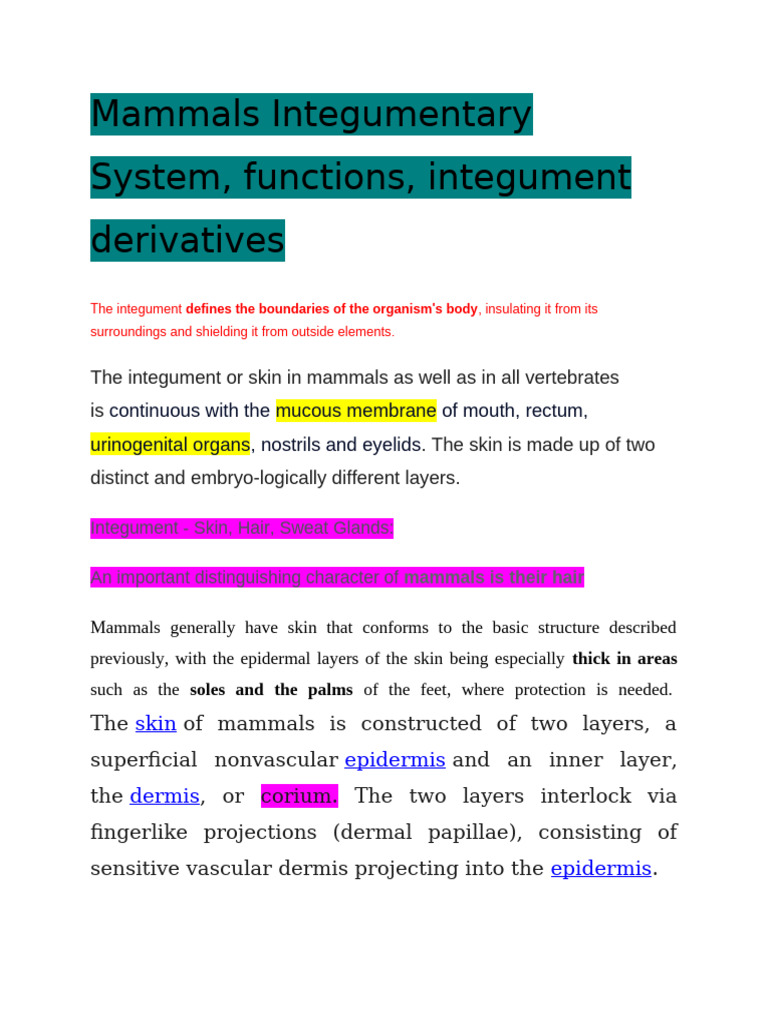 Mammalian Integumentary System Overview | PDF | Integumentary System | Skin