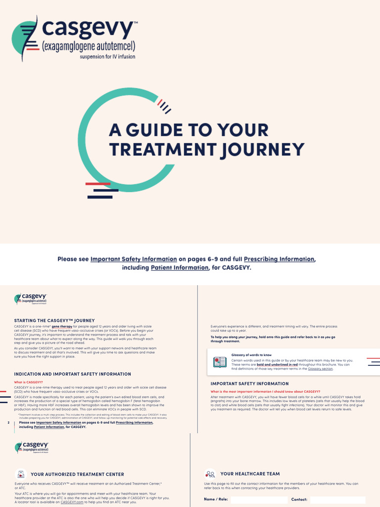 Treatment Journey Brochure SCD Desktop | PDF | Chemotherapy | Blood Cell