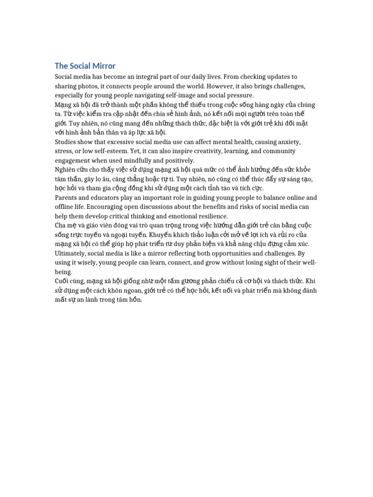 The Social Mirror | PDF