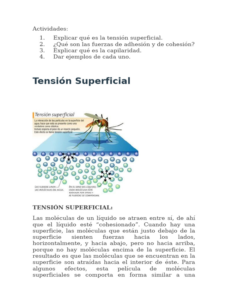 Tensión Superficial y Capilaridad Explicadas | PDF | Adhesión | Enlace ...