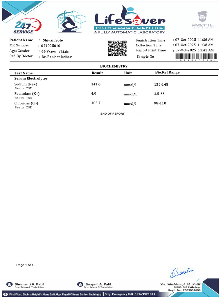 Serum Electrolytes Test Report | PDF