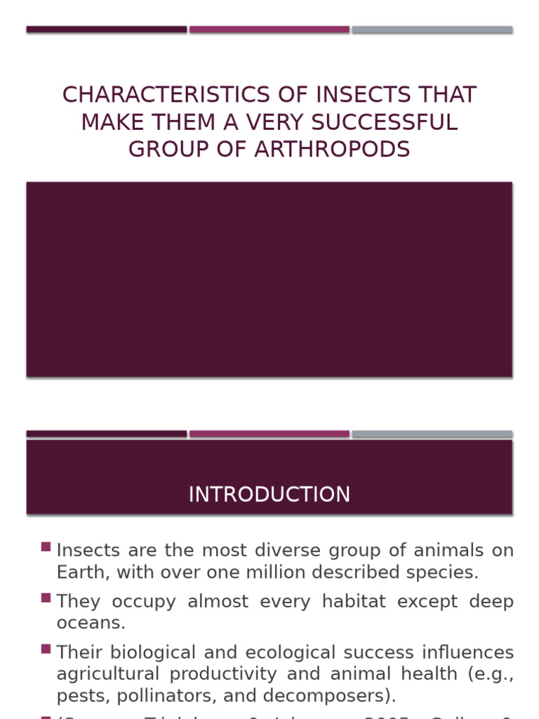 Insect Success Factors Explained | PDF | Insects | Biology