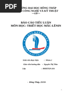 Tr%E1%BA%A7n %C4%90%C3%ACnh Tr%E1%BB%8Dng | PDF