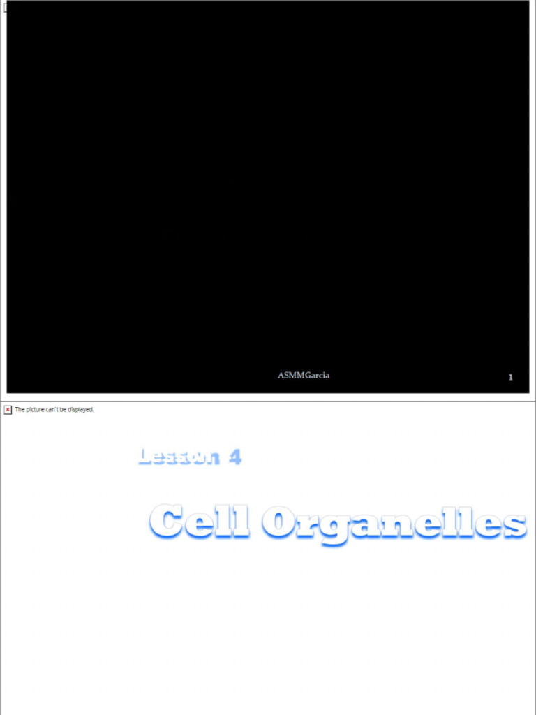 Bio Lesson 4 Cell Organelles Handout | PDF