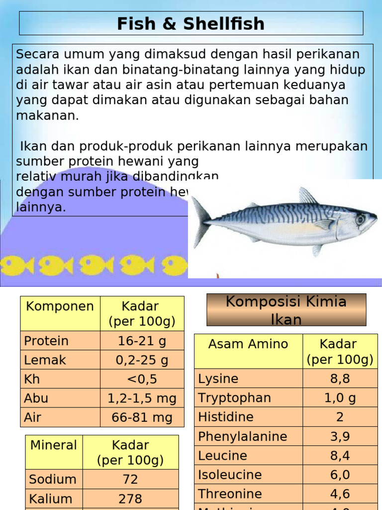 Main Course (Ikan New) | PDF