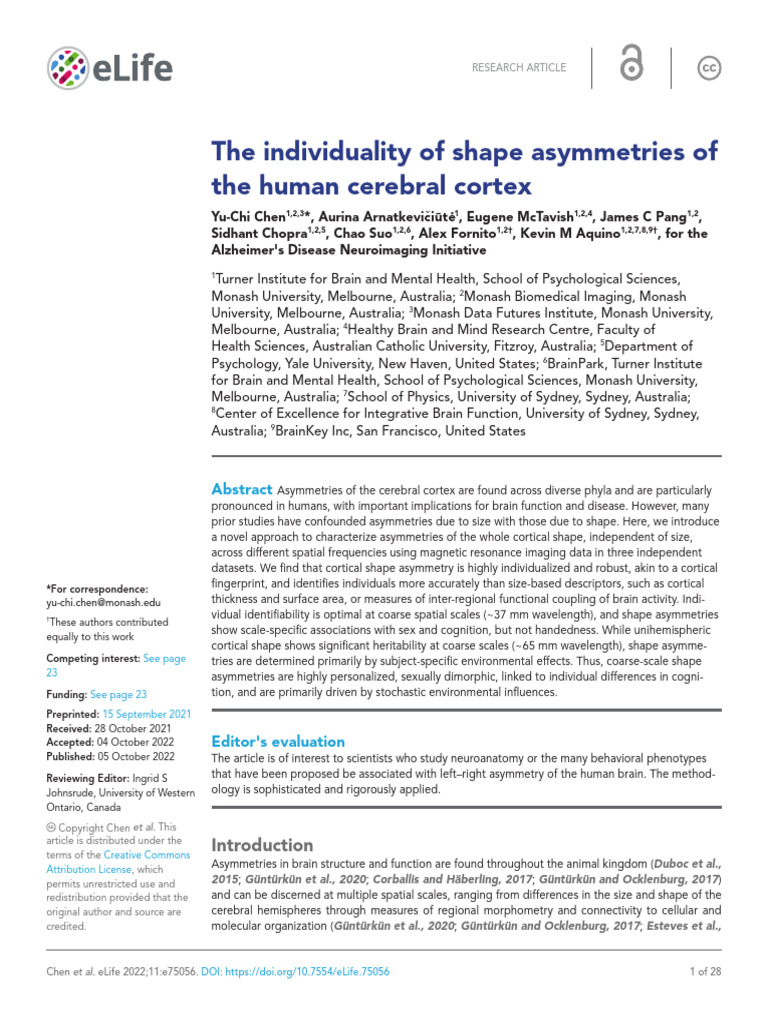 The Individuality of Shape Asymmetries of The Human Cerebral Cortex ...