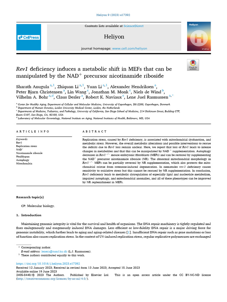 Rev1 Deficiency Metabolic Shift in MEFs | PDF | Dna Repair | Mitochondrion