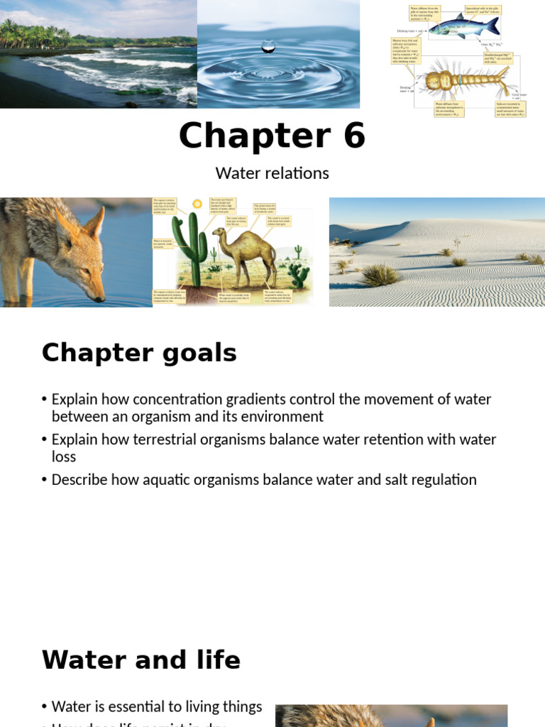 Million BI 421 Ecology Chapter 6a Water Relations | PDF | Water | Desert