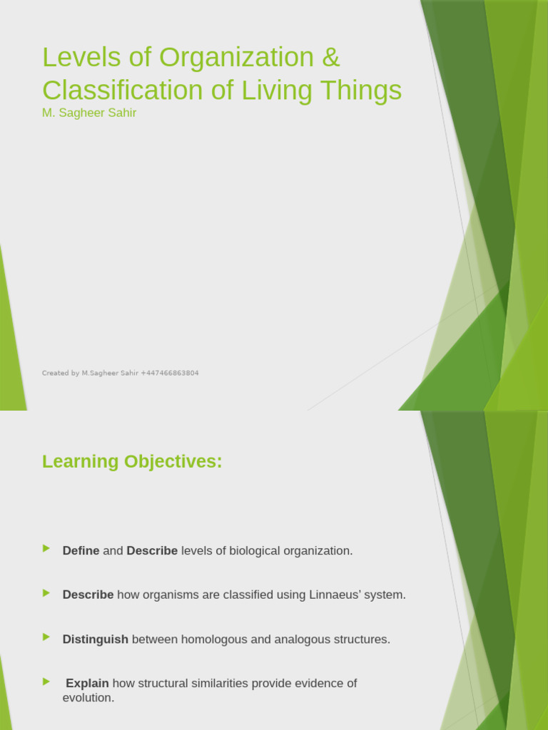 Levels of Biological Organization & Classification | PDF | Cell ...