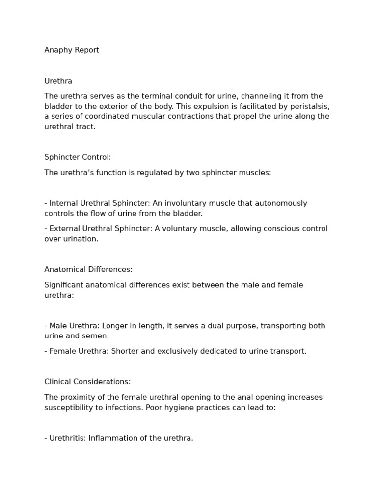 Anaphy Report | PDF | Urination | Urinary Incontinence