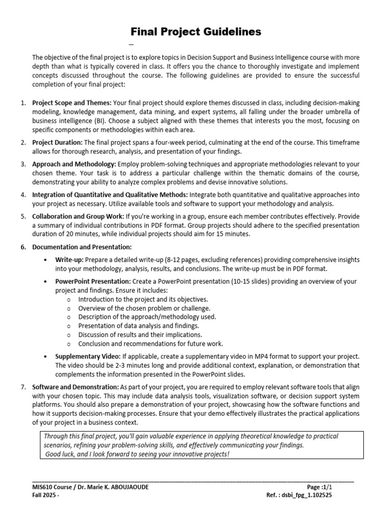 MIS610 Final Project Guidelines | PDF | Methodology | Business Intelligence
