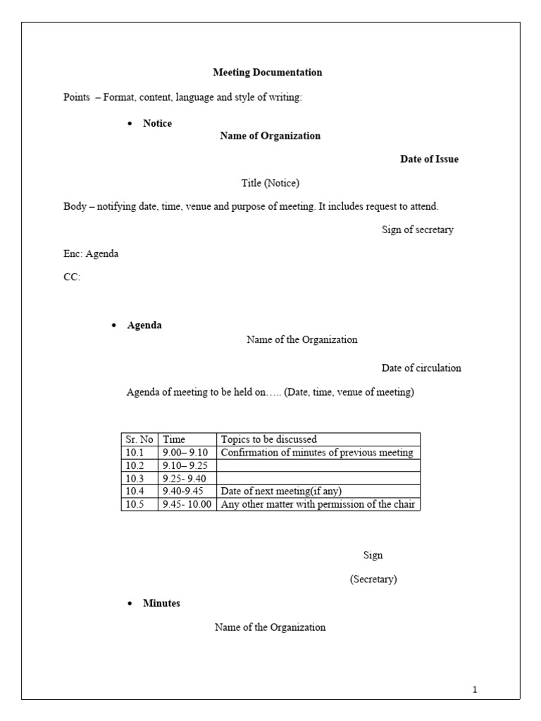Meeting Documentation Guidelines | PDF