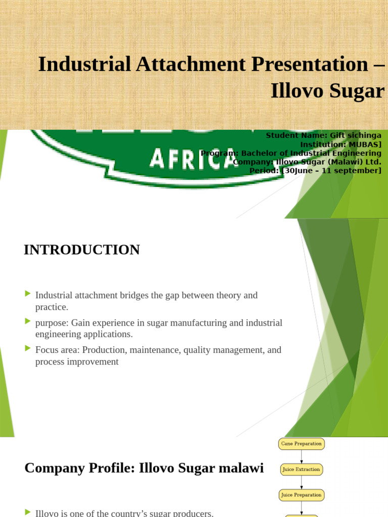 Gift Sichinga Bie 21 Ss 020 | PDF | Risk | Risk Management