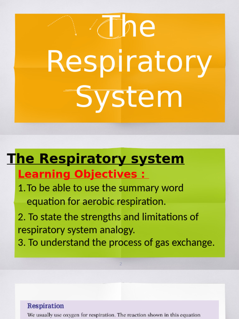 Respiratory System and Gas Exchange | PDF | Respiratory System | Lung