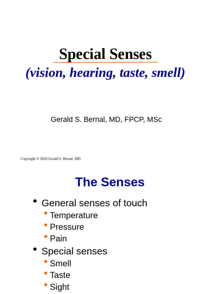 Understanding Human Senses and Vision | PDF | Ear | Senses