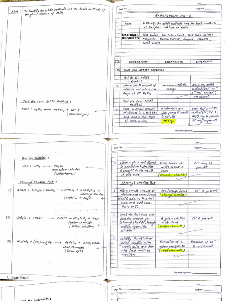 Identifying Acidic and Basic Radicals | PDF | Chemical Substances ...