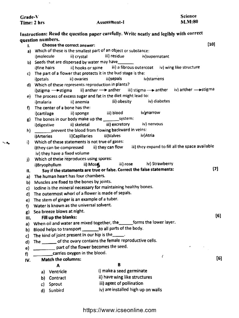 Icse Class 5 Assessment 1 Science 300924 2024 | PDF