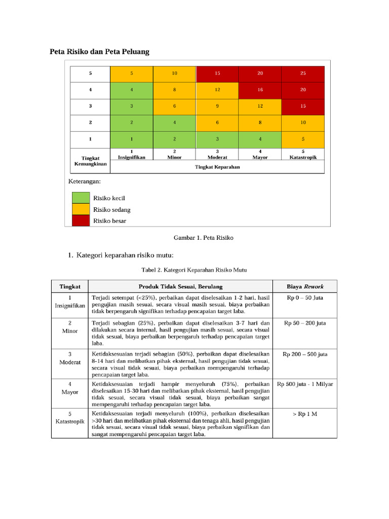 Matrix Risiko | PDF