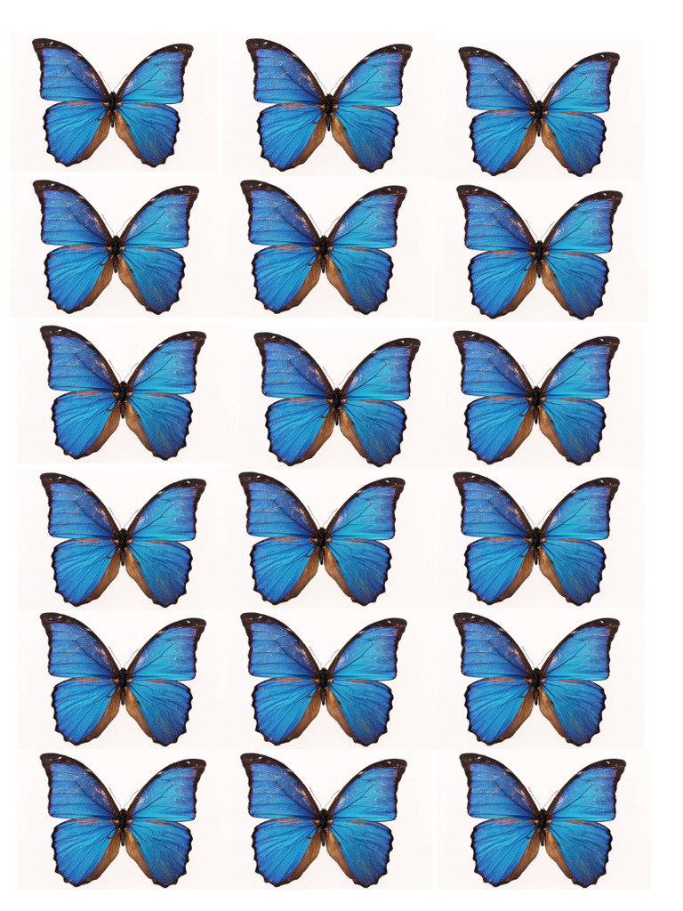 Untitled design_20251011_185527_0000 | PDF