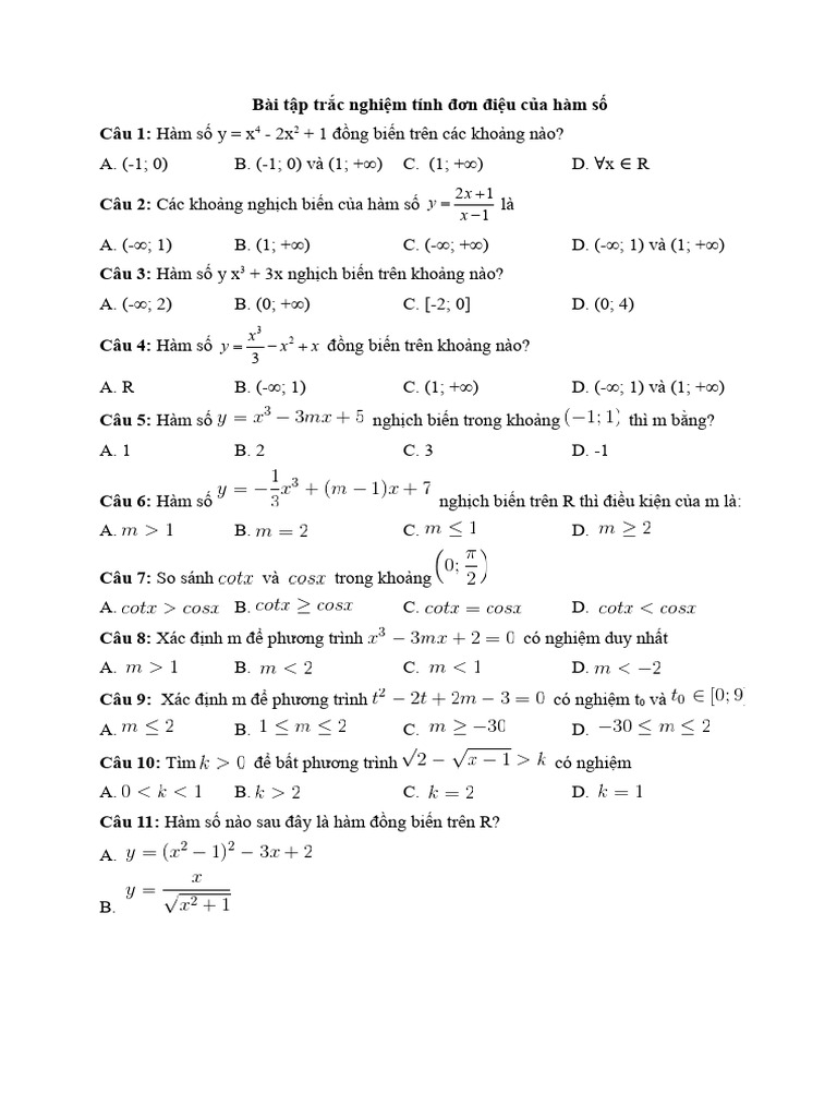BT1 TinhDonDieuCuaHS | PDF