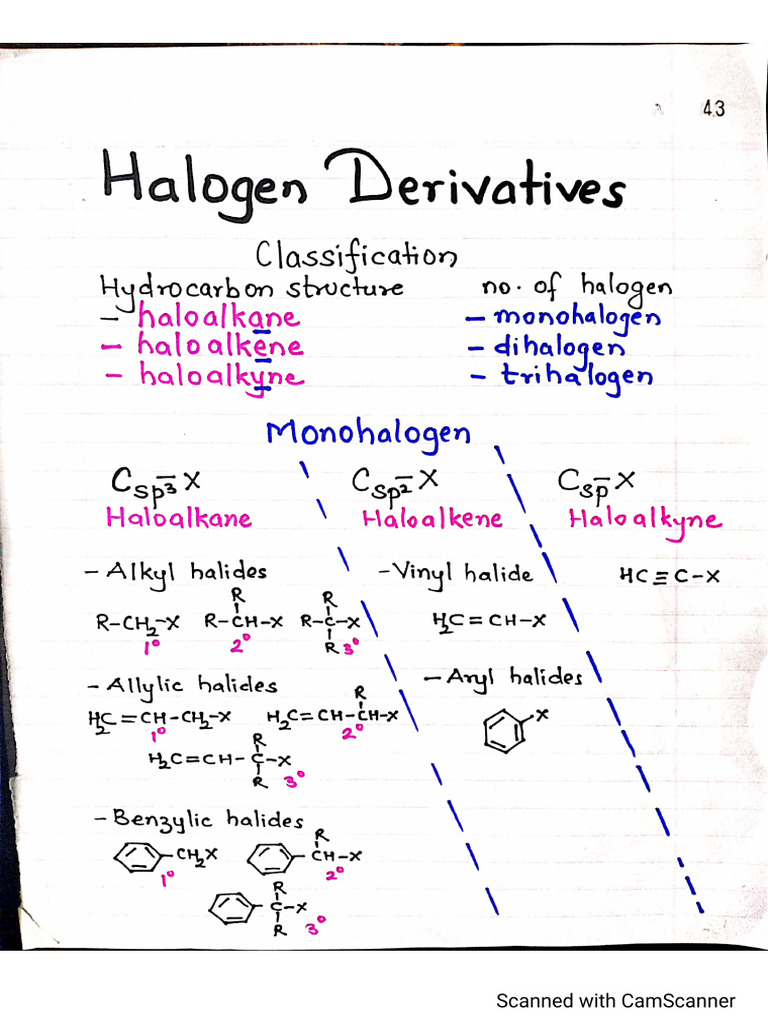 Halogen Derivatives | PDF