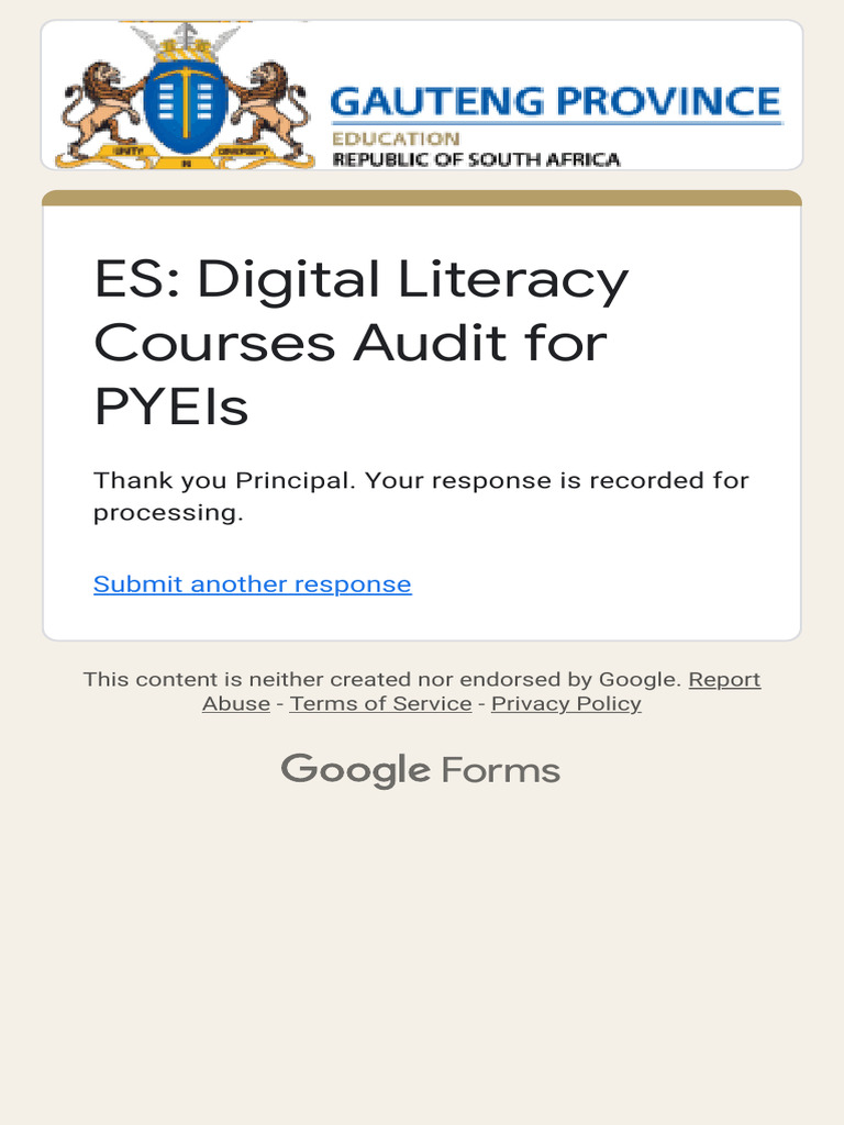 ES Digital Literacy Courses Audit For PYEIs 2 | PDF