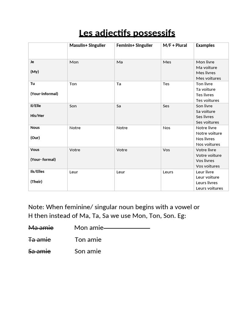 Adjectifs possessifs en français | PDF
