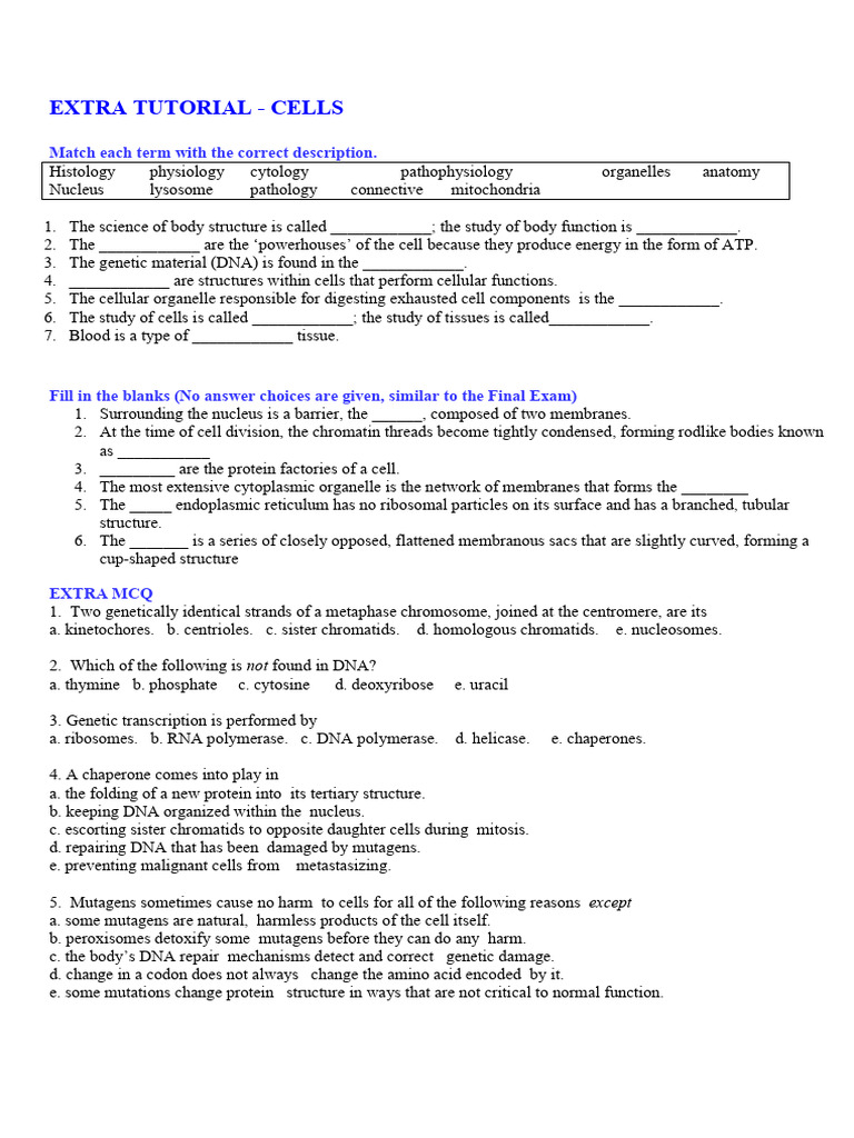 Extra Tutorial 2326 for Lectures 1-5 | PDF | Stomach | Kidney